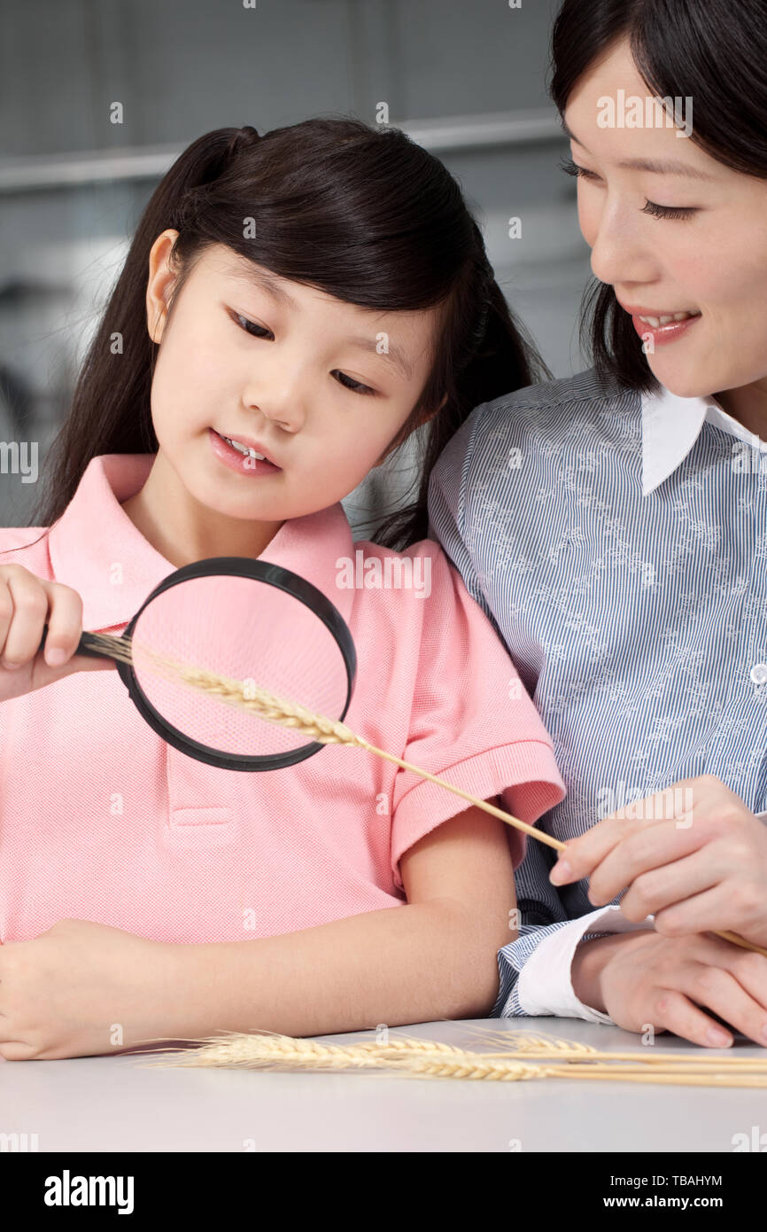 Primary school students take biology class Stock Photo - Alamy
