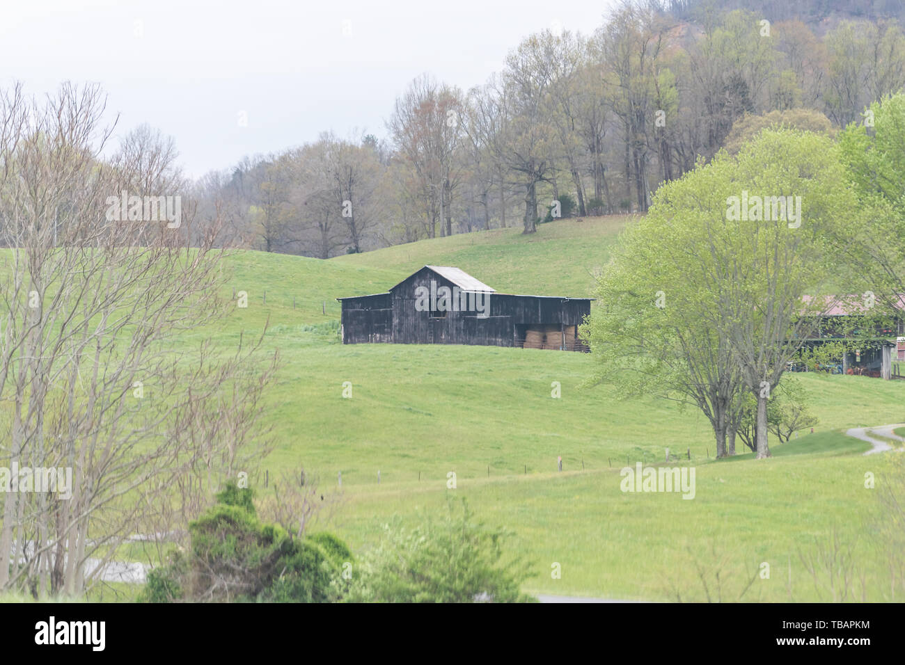 Rural Tennessee scenery with farm countryside in spring and grass lawn ...