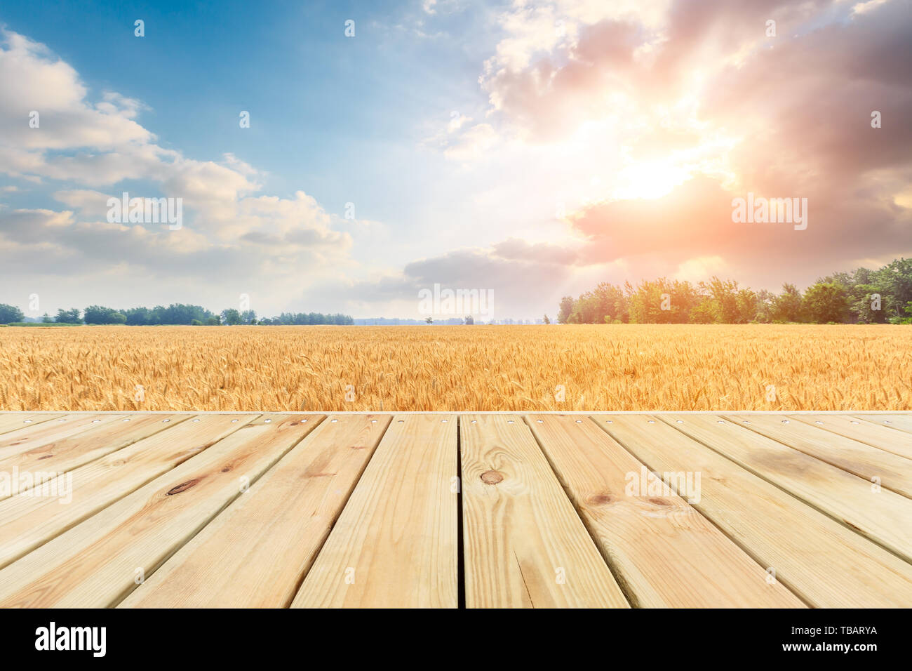 Empty wheat field hi-res stock photography and images - Alamy