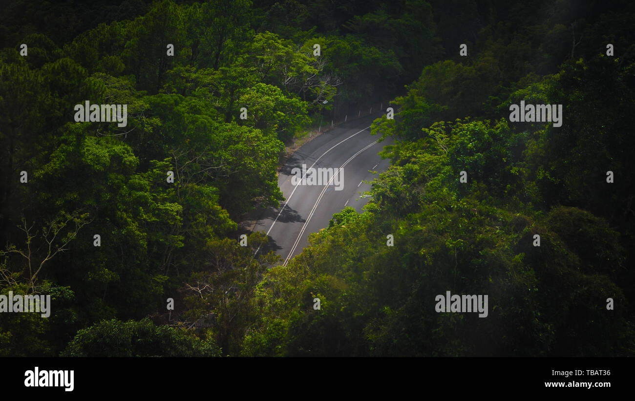 The road in the jungle Stock Photo - Alamy
