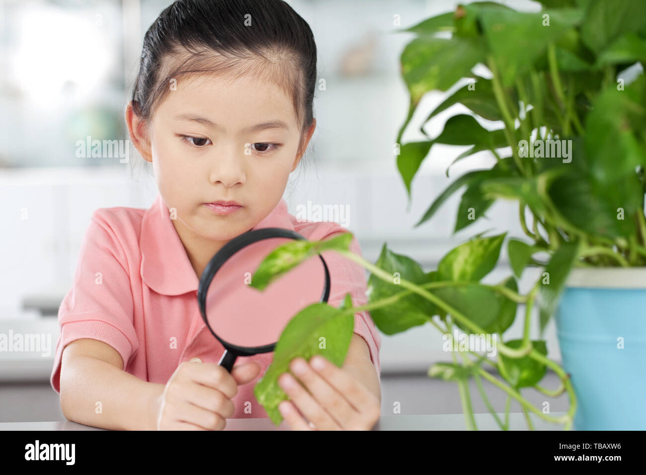 Primary school students take biology class Stock Photo - Alamy