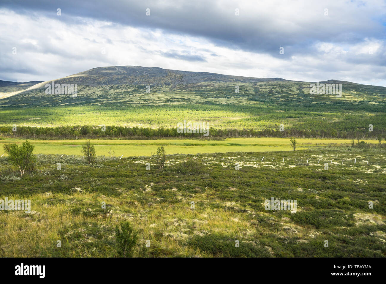 Oslo to trondheim train hi-res stock photography and images - Alamy