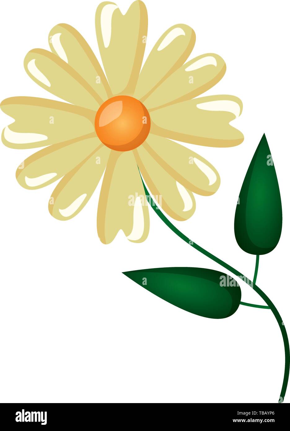 flower daisy nature Stock Vector Image & Art - Alamy