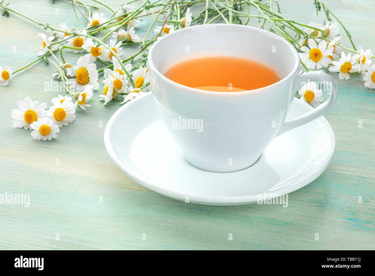 A cup of chamomile tea on a teal blue background with a bouquet of ...