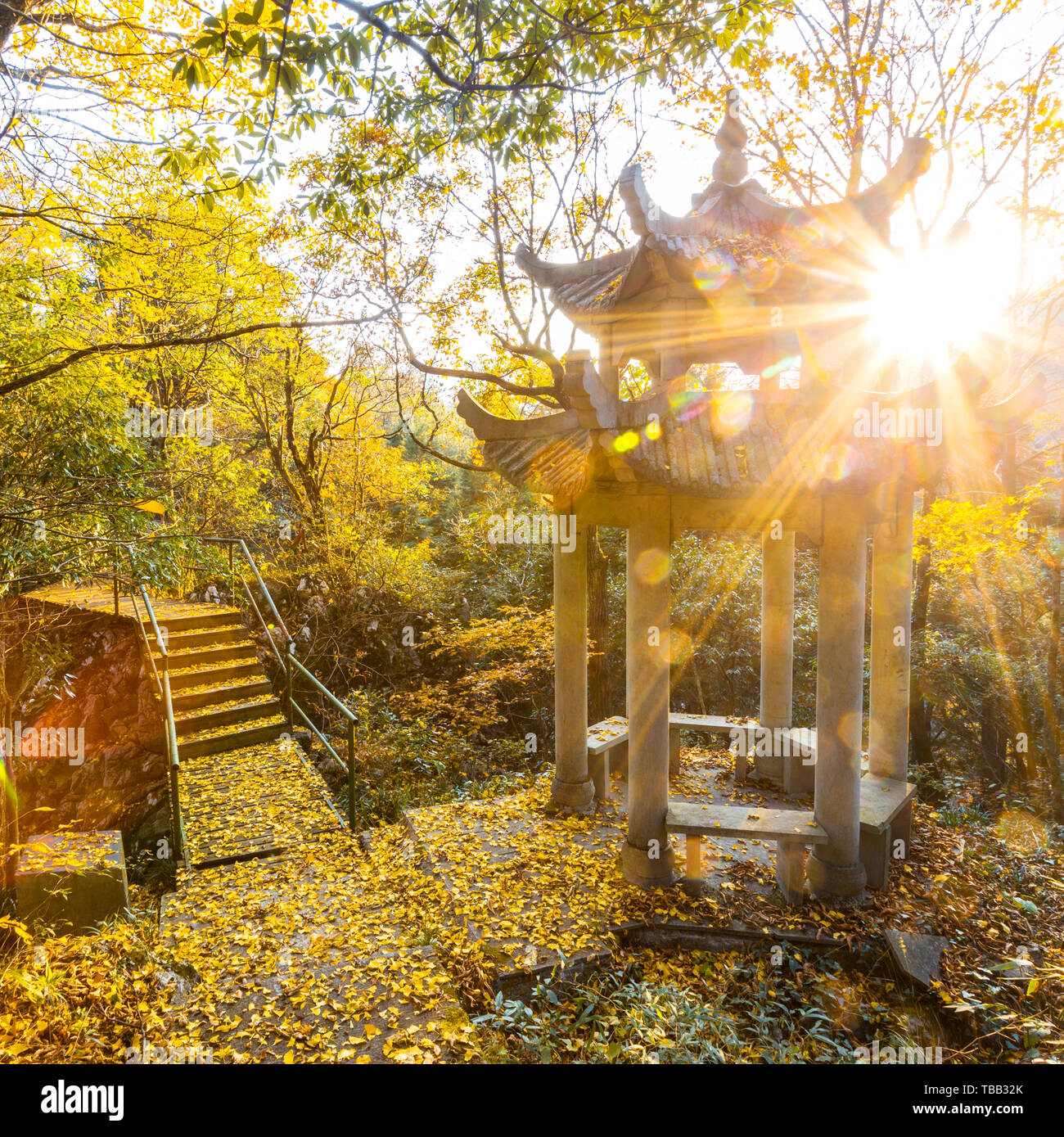Autumn with pavilion Stock Photo - Alamy