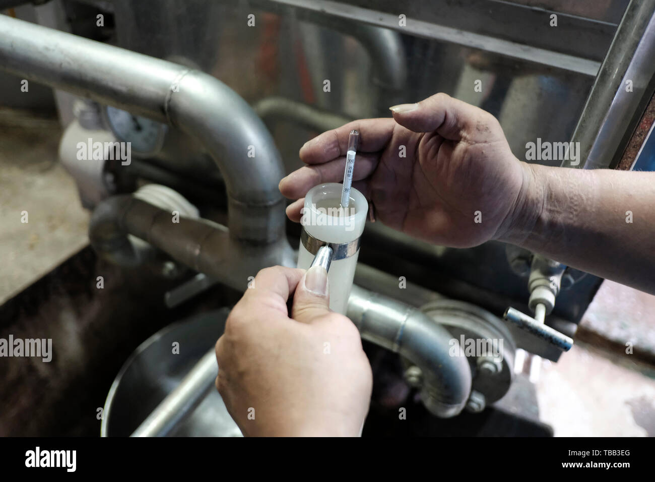 Worker checking the temperature of liquor during the production process ...