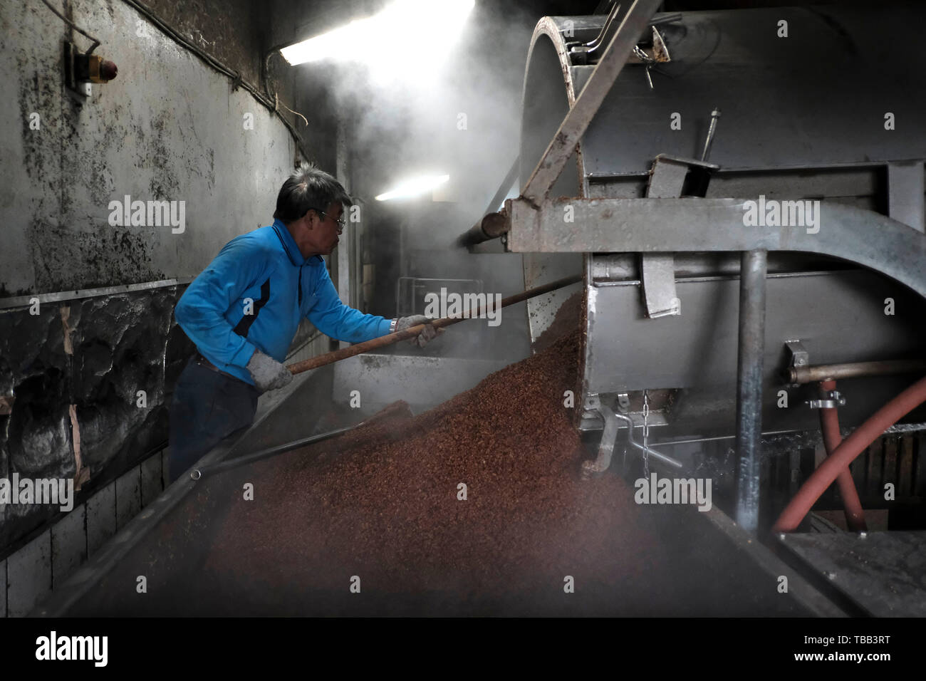 Workers grind wheat into powder at Kinmen Kaoliang Liquor Distillery ...