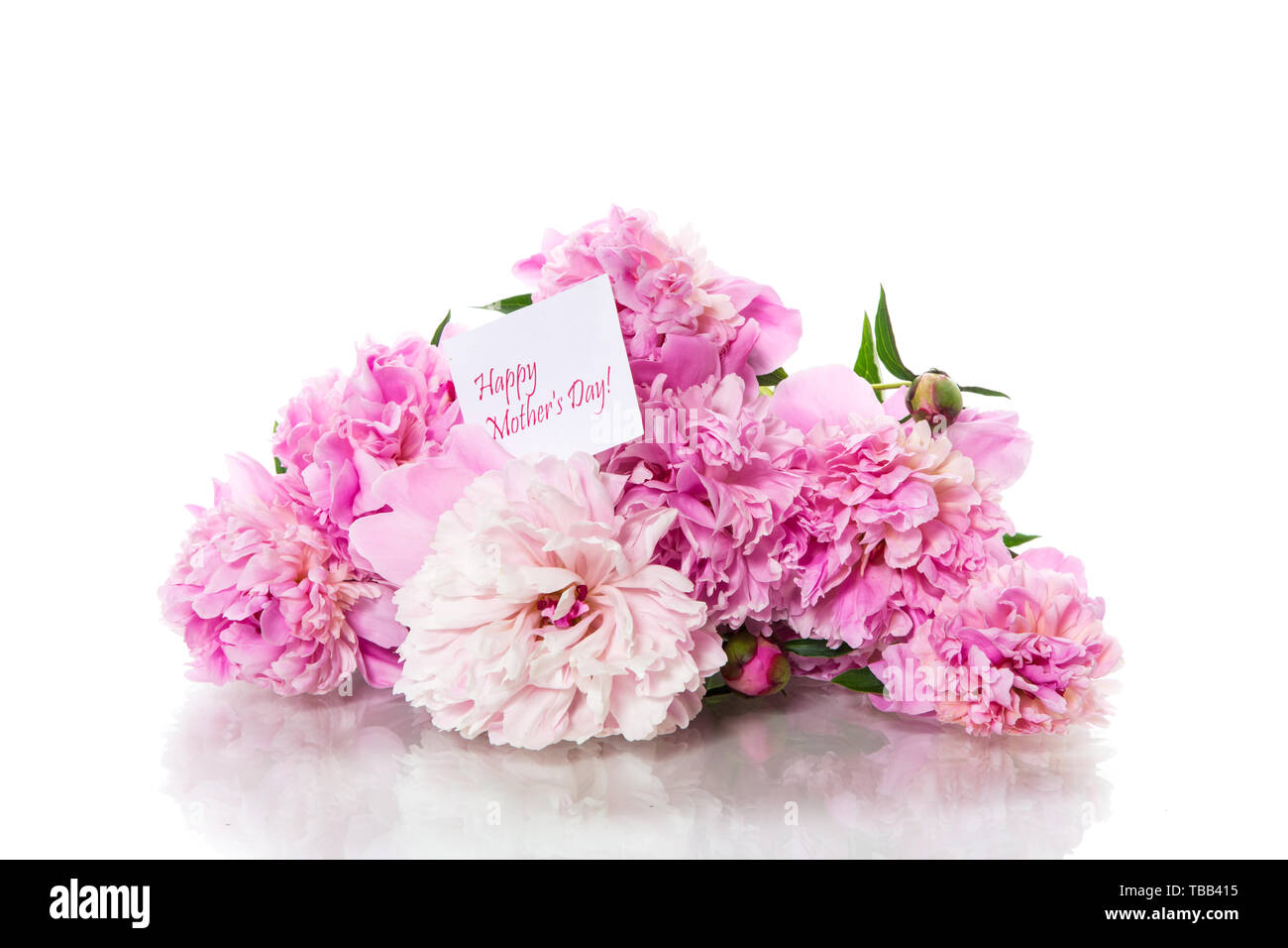 bouquet of blooming peonies on white background Stock Photo - Alamy