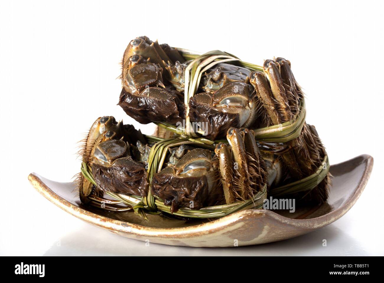 Canopy crab hi-res stock photography and images - Alamy