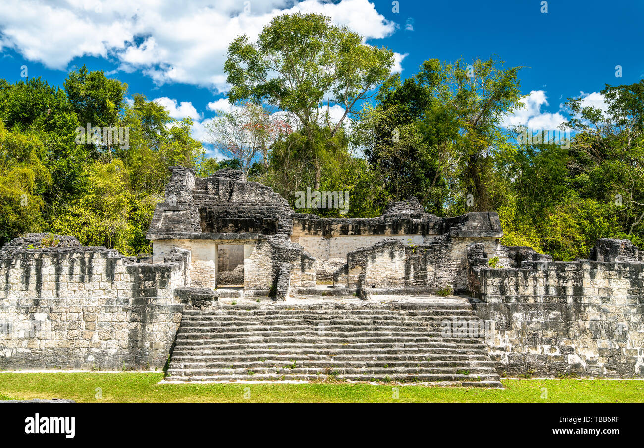 Tikal pyramid ruins hi-res stock photography and images - Alamy