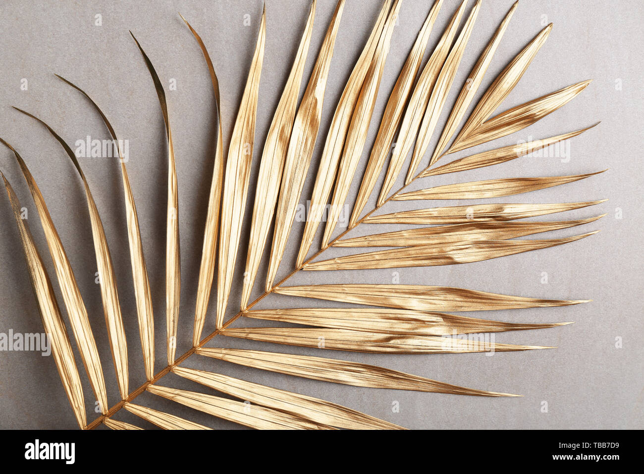 Golden tropical leaf hi-res stock photography and images - Alamy