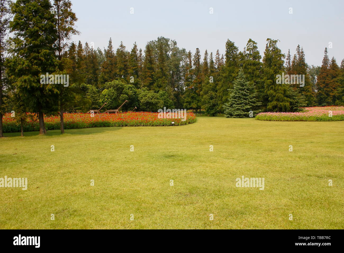 Binjiang park hi-res stock photography and images - Alamy