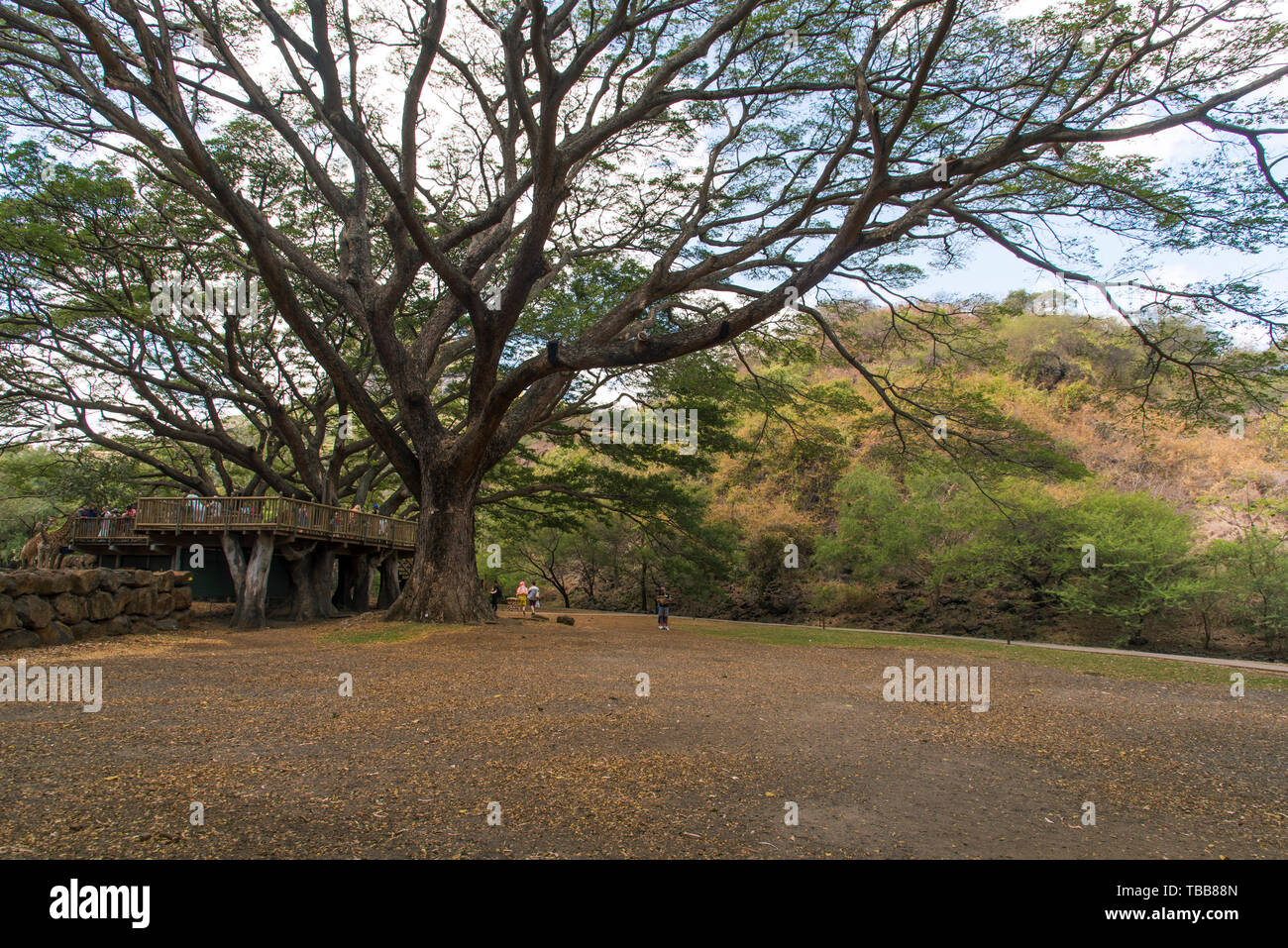 Casela nature hi-res stock photography and images - Alamy