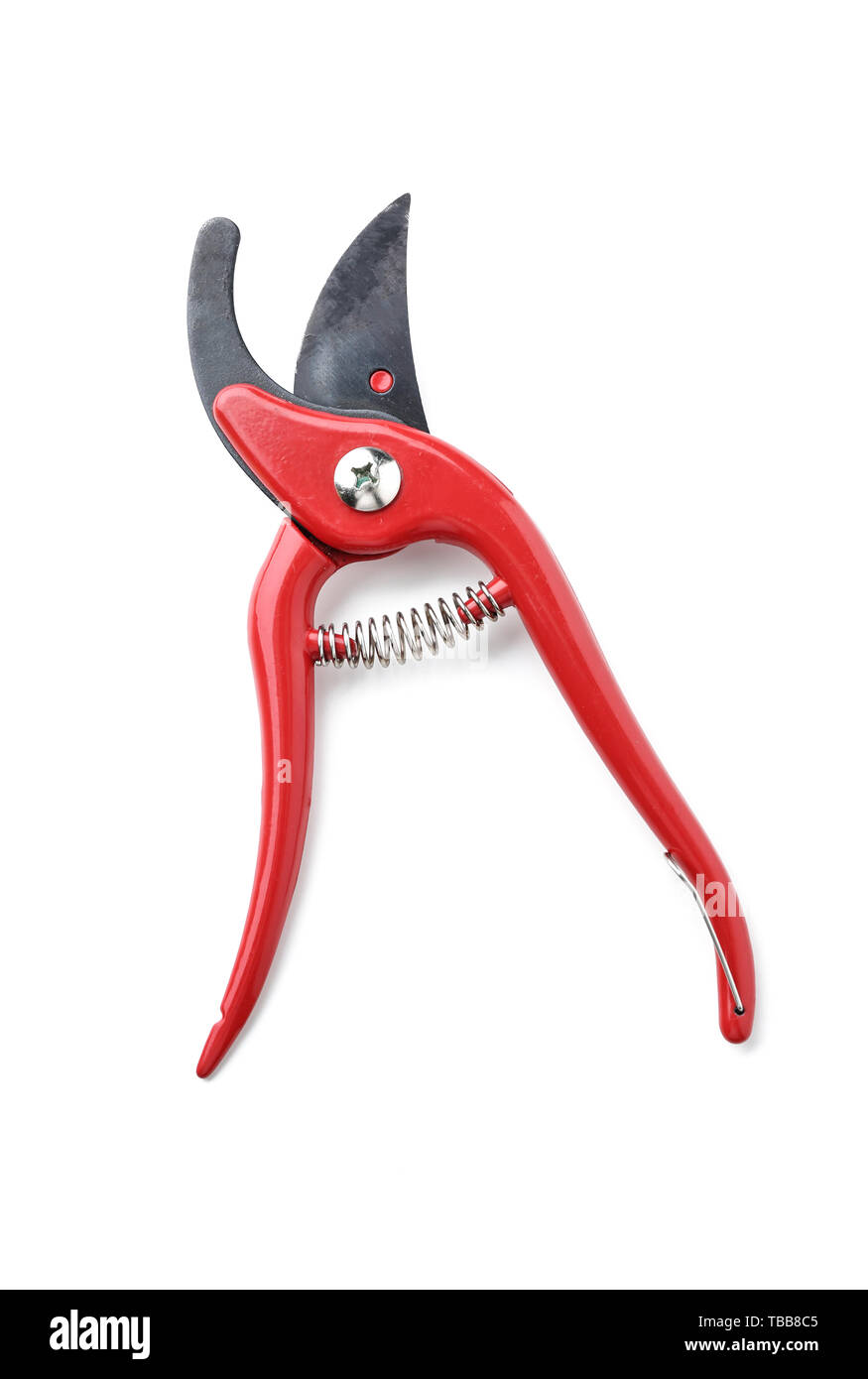 Pruner on white background Stock Photo - Alamy