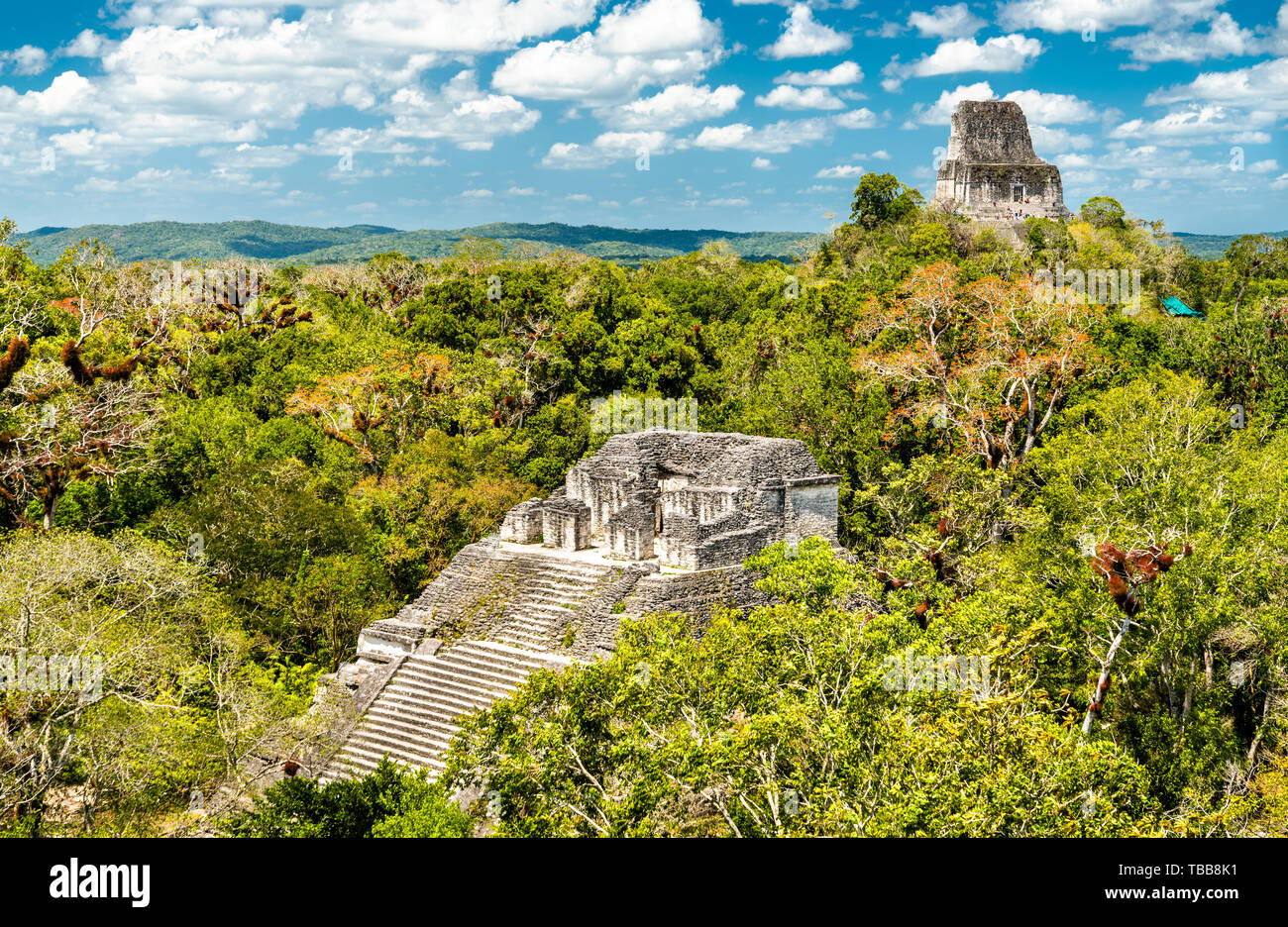 Ancient Mayan ruins at Tikal in Guatemala Stock Photo - Alamy