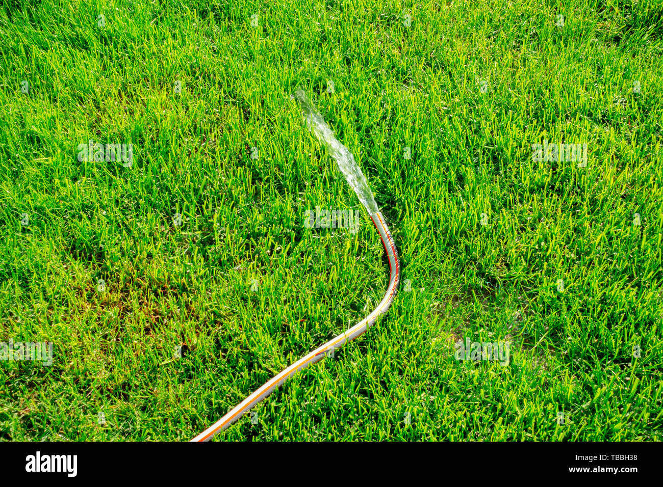 Well cut grass hi-res stock photography and images - Alamy