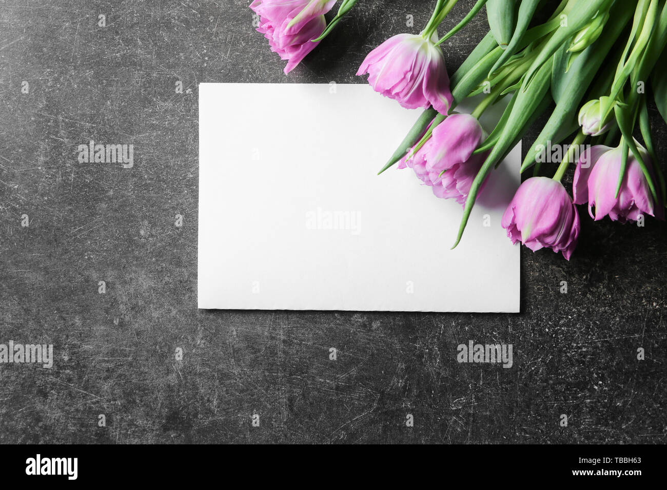 Beautiful tulips with empty greeting card on dark background Stock ...