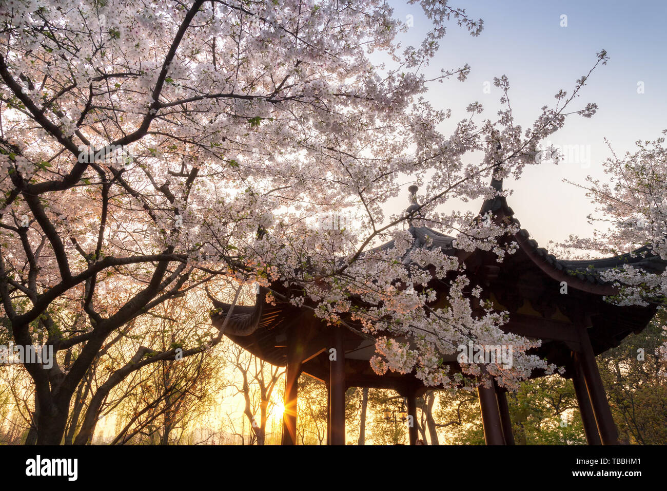 Hangzhou west lake snow hi-res stock photography and images - Alamy