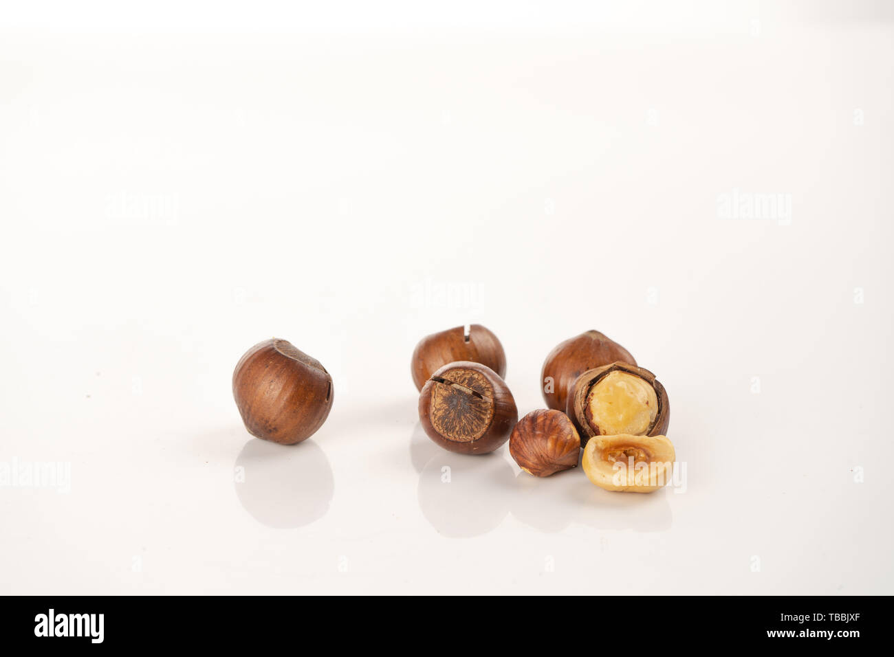 Northeast characteristic open hazelnut Stock Photo - Alamy