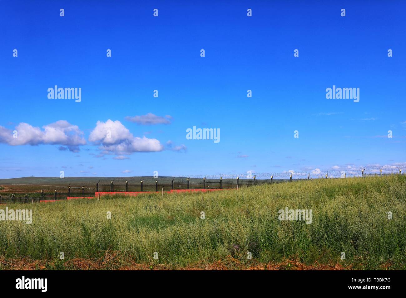 Rural areas outdoor farmland farm farm in summer dry trees hi-res stock ...