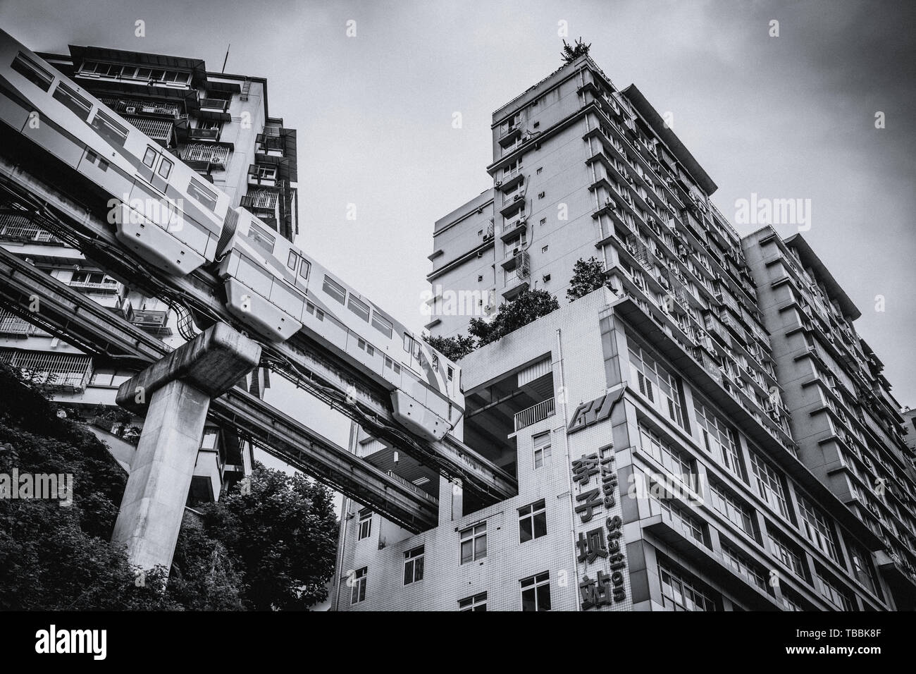 Ziba hi-res stock photography and images - Alamy