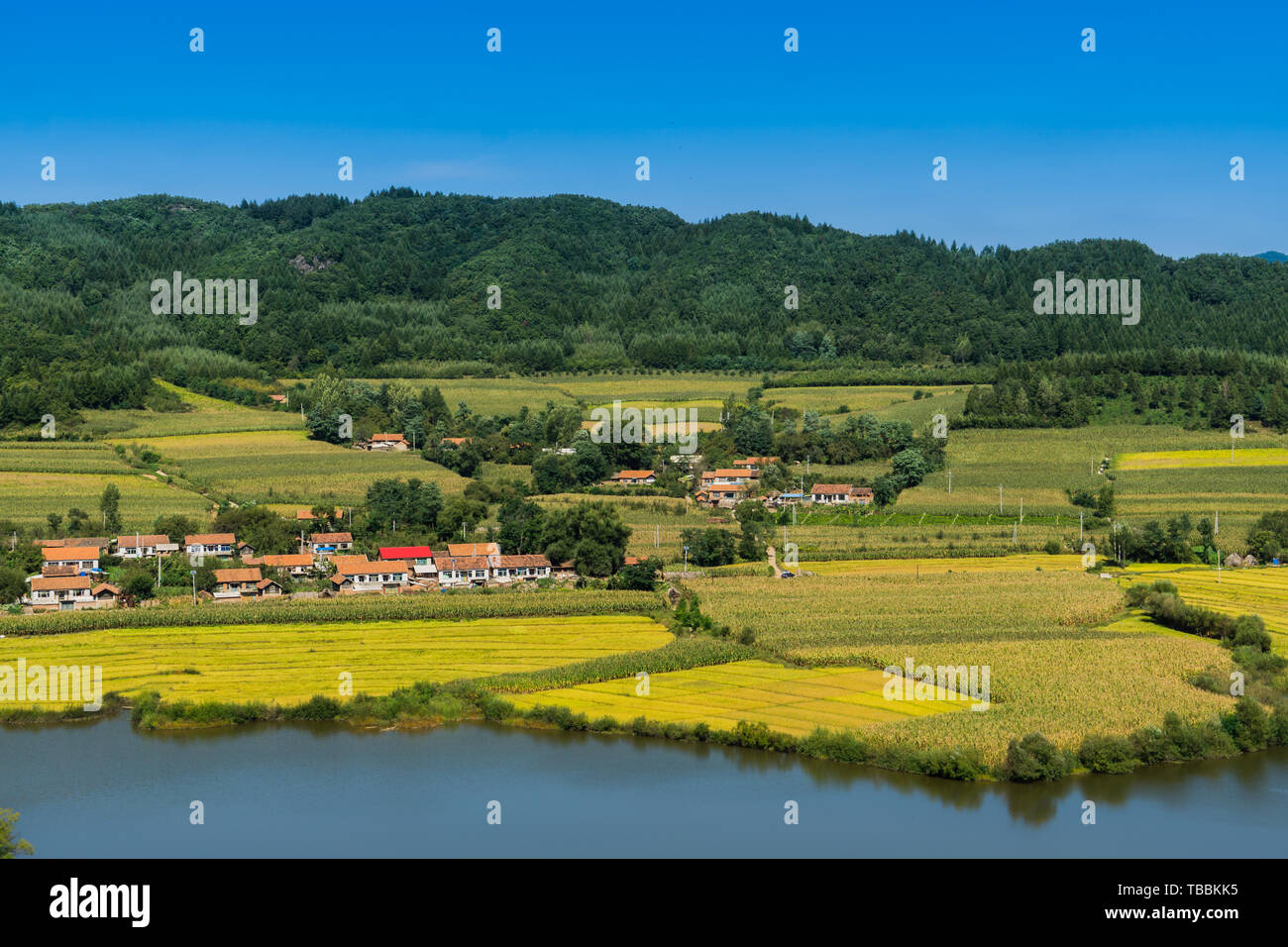 Fall country fields Stock Photo - Alamy