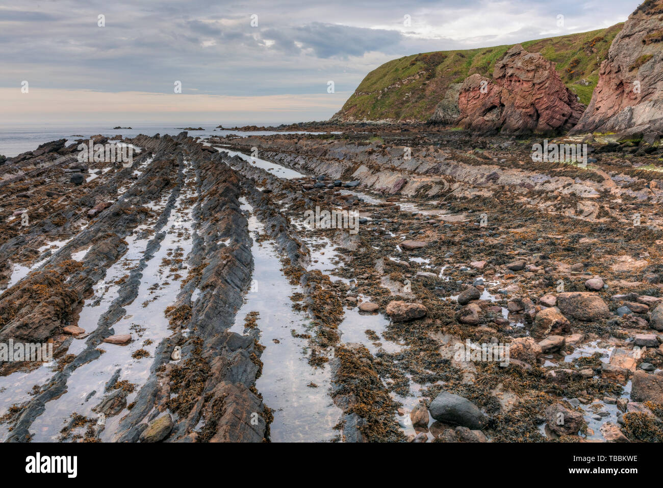 Cove harbour cockburnspath hi-res stock photography and images - Alamy