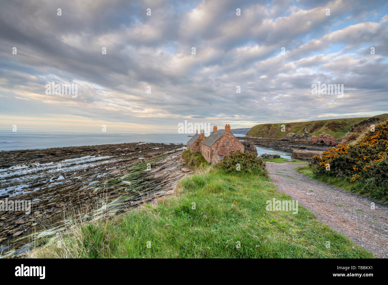 Cove, Cockburnspath, Berwickshire, Scotland, UK, Europe Stock Photo - Alamy