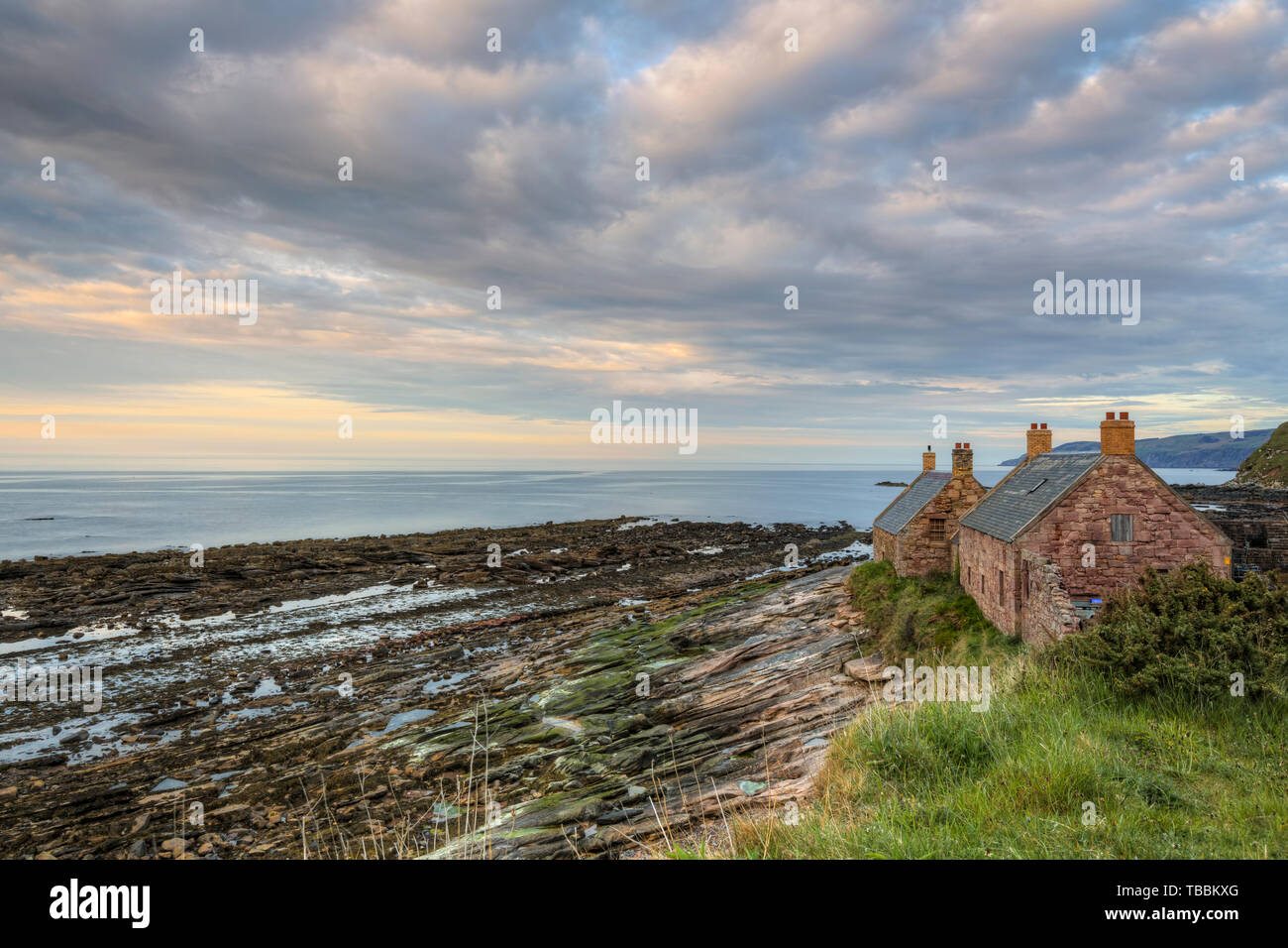 Cove, Cockburnspath, Berwickshire, Scotland, UK, Europe Stock Photo - Alamy