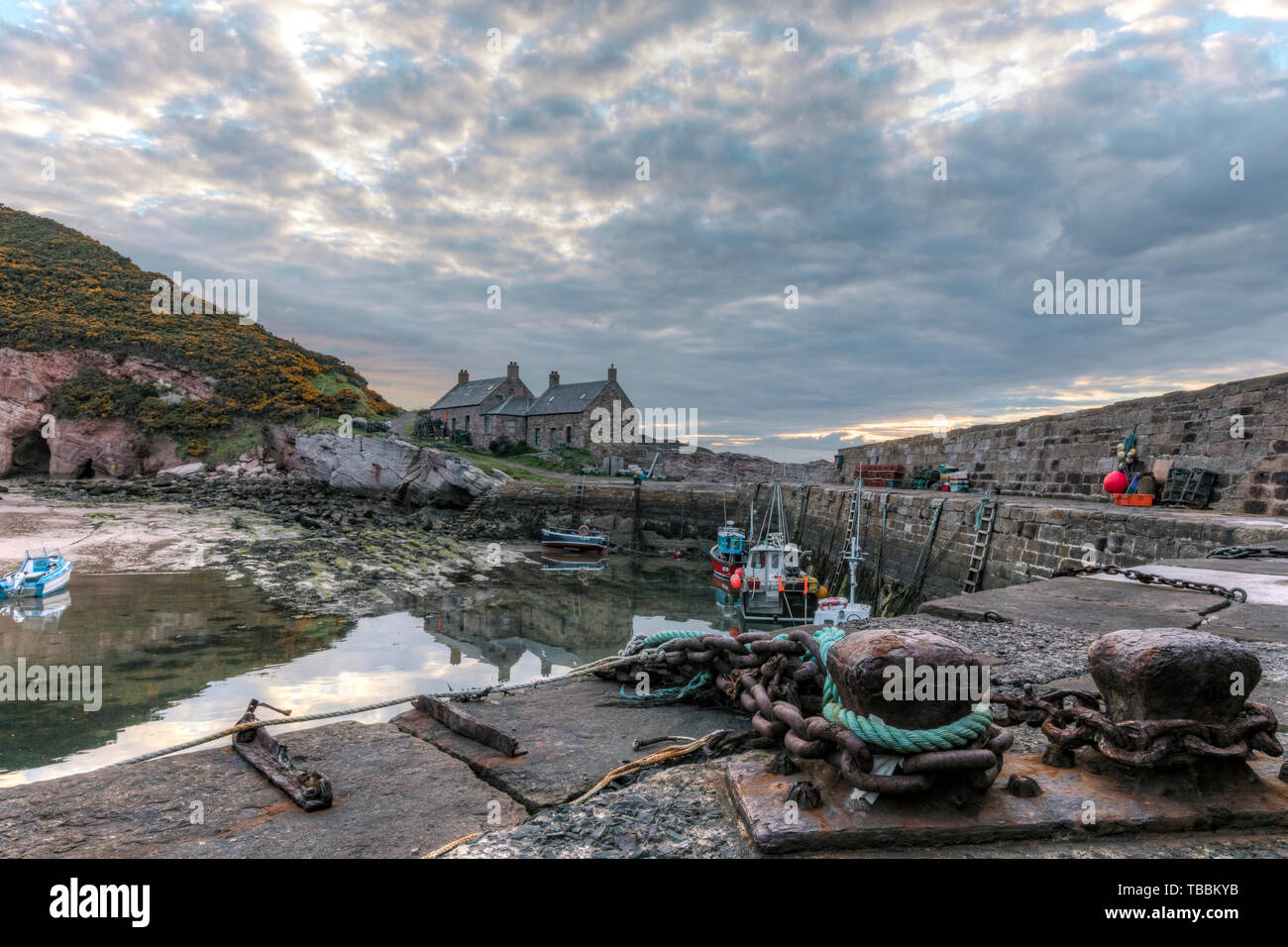 Cove, Cockburnspath, Berwickshire, Scotland, UK, Europe Stock Photo - Alamy