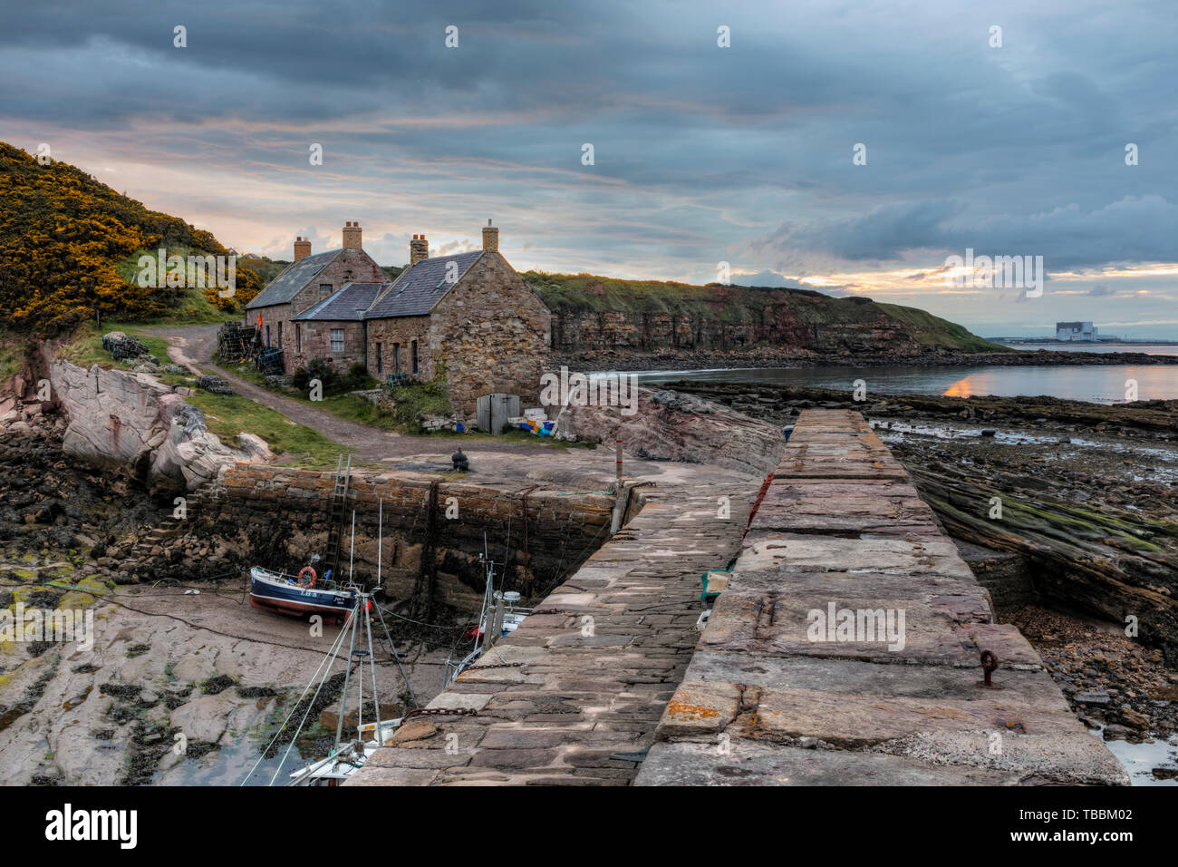 Cove, Cockburnspath, Berwickshire, Scotland, UK, Europe Stock Photo - Alamy