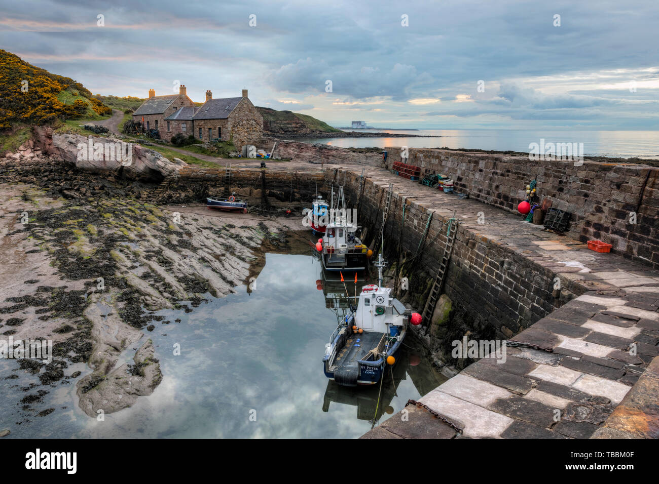 Cove, Cockburnspath, Berwickshire, Scotland, UK, Europe Stock Photo - Alamy