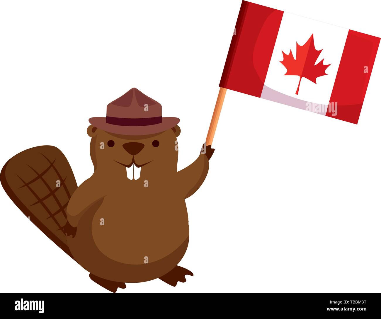 beaver with ranger hat and canadian flag Stock Vector Image & Art - Alamy