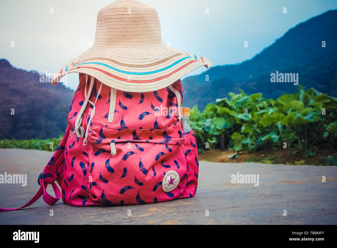 The rapeseed field at the Sinopec Petromen Forest Park Stock Photo - Alamy