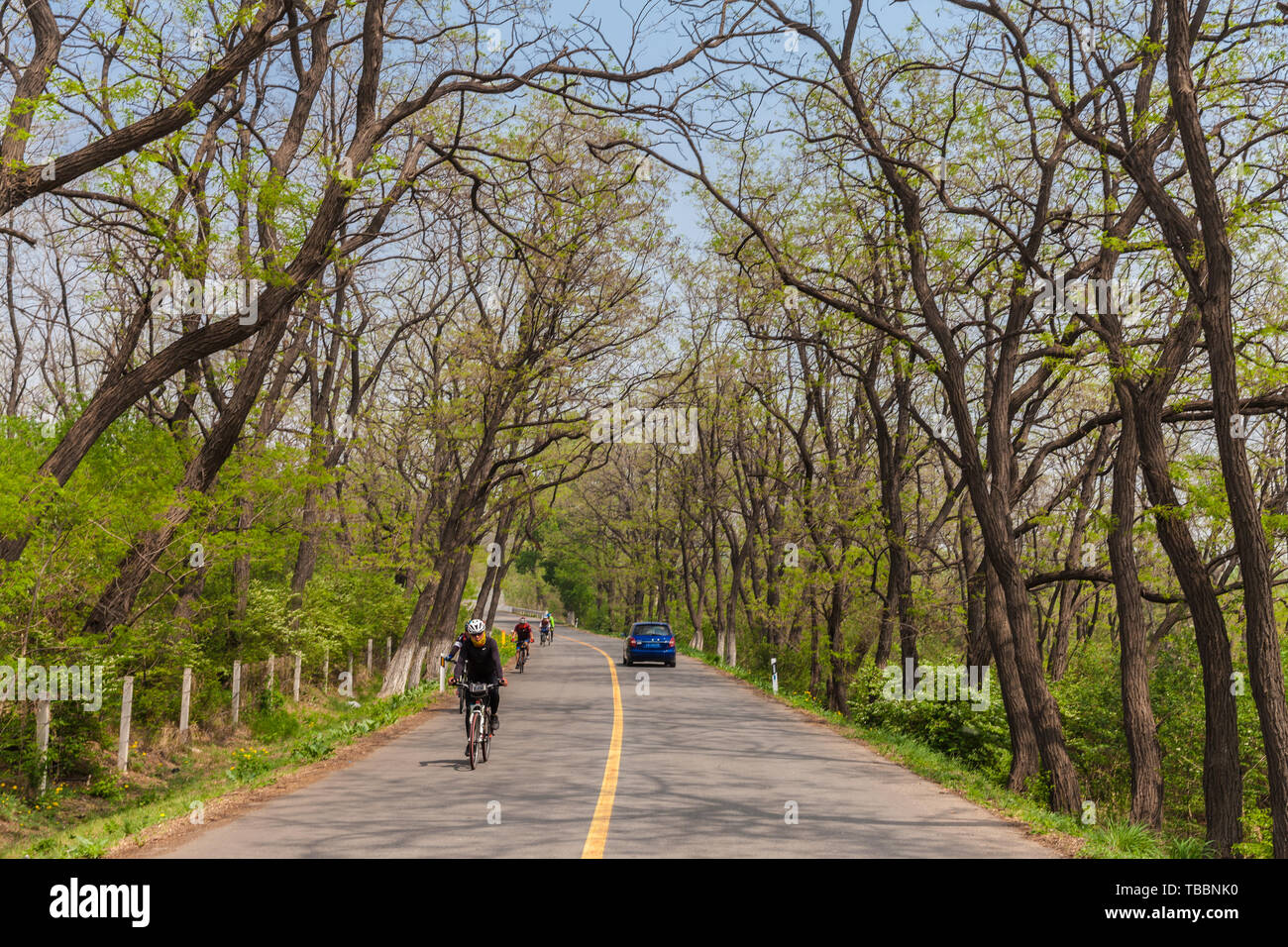 Road guide with nature and wood landscape hi-res stock photography and ...