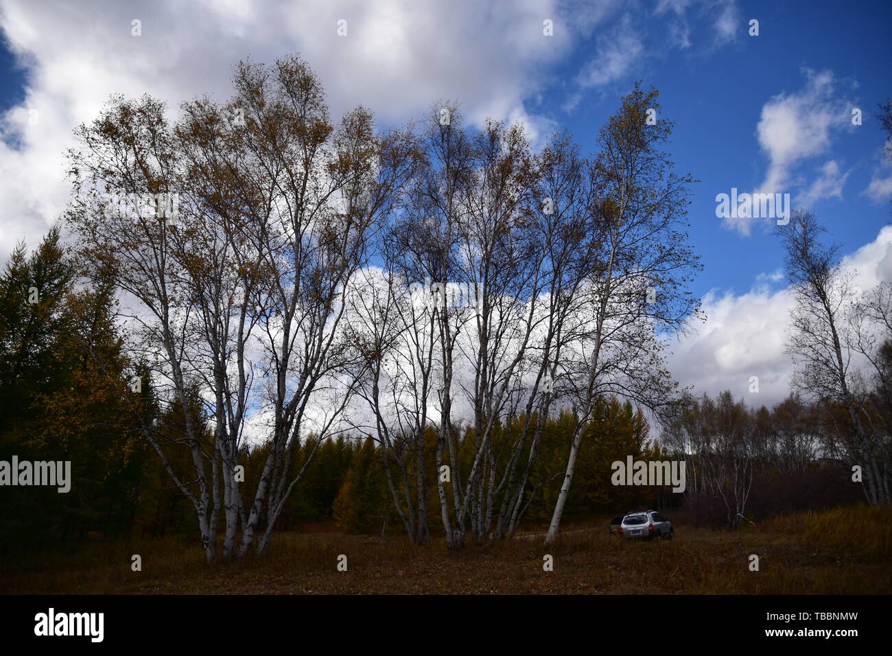 Saihan dam scenery Stock Photo - Alamy