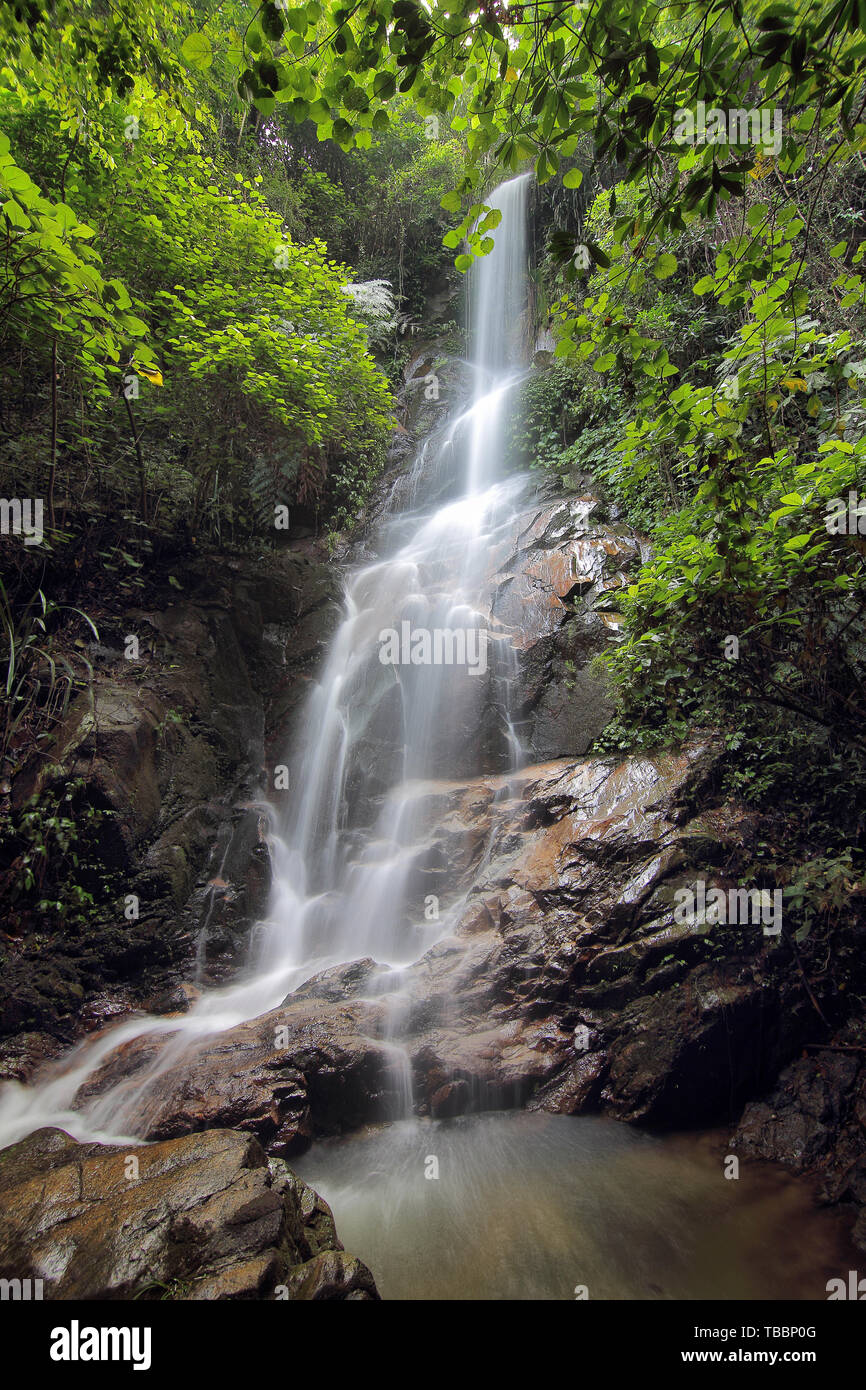 Dinghu mountain hi-res stock photography and images - Alamy