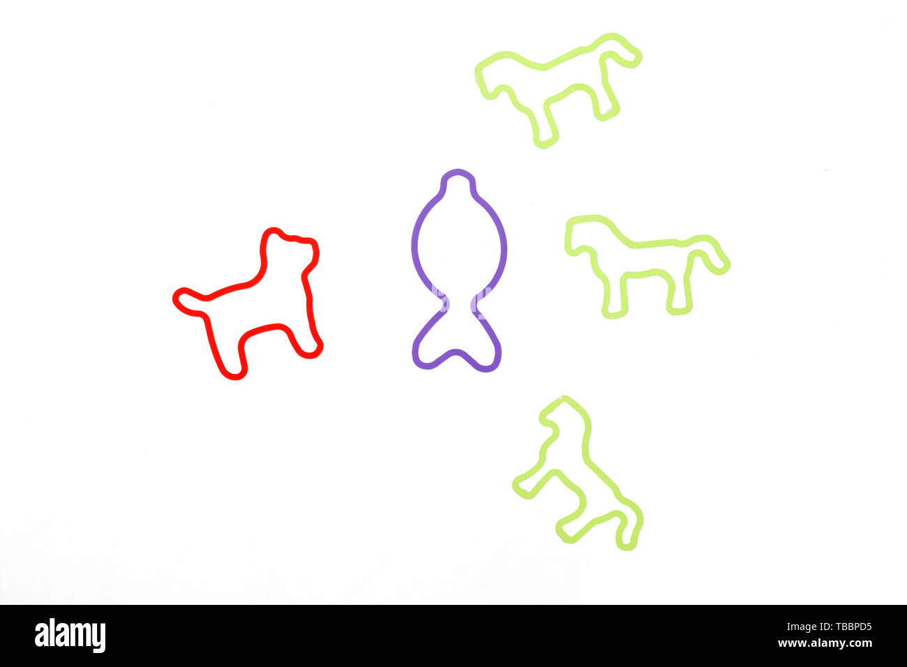 Horse band Cut Out Stock Images & Pictures - Alamy