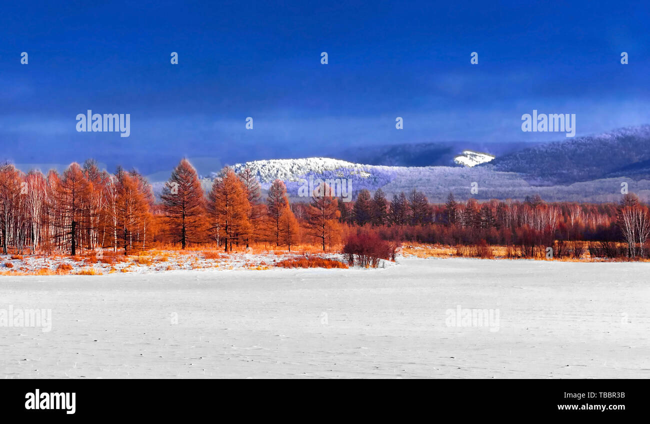 Snow scenery in Genhe City, Hulunbuir City, Inner Mongolia Stock Photo ...