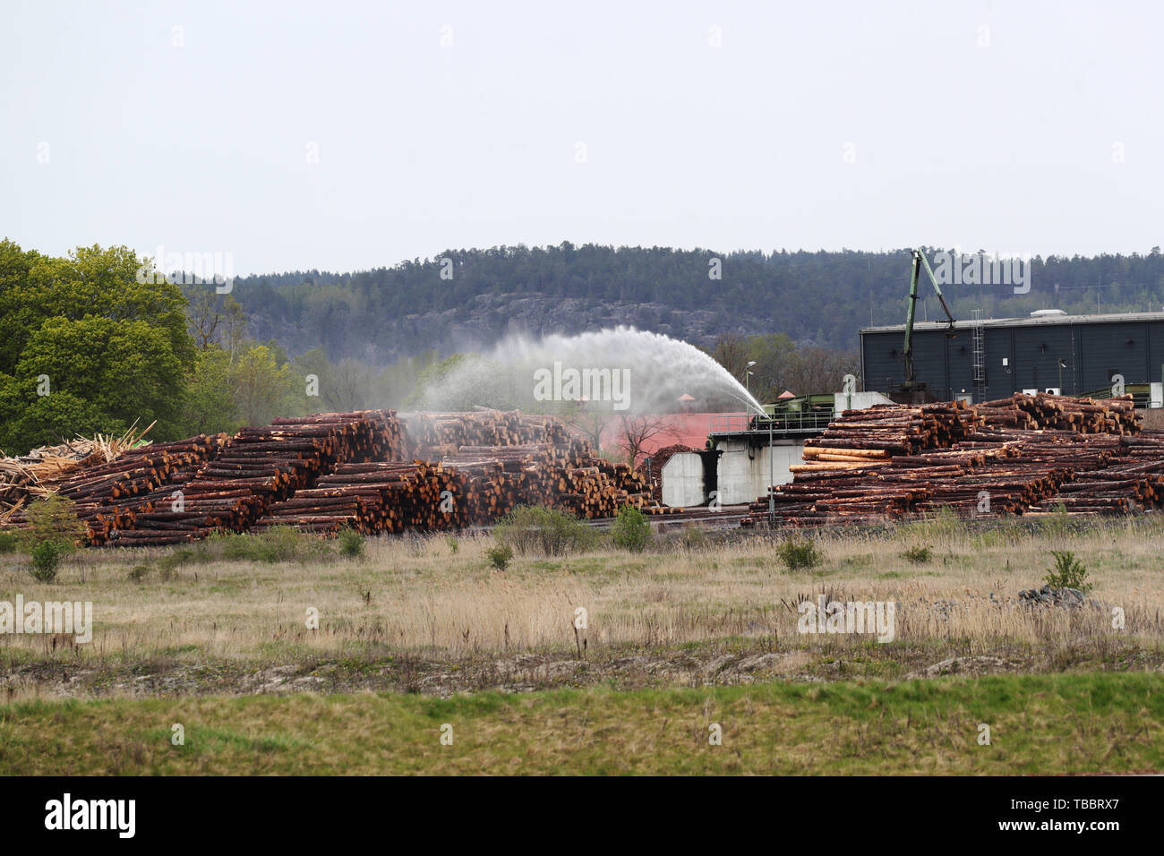 Holmen paper hi-res stock photography and images - Alamy
