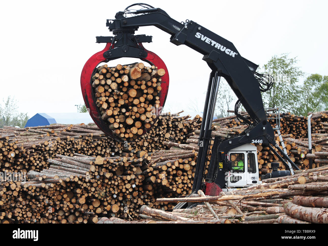 Holmen timber hi-res stock photography and images - Alamy