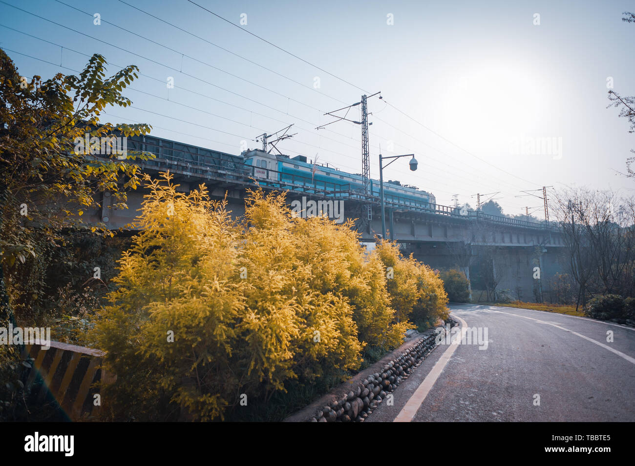 Autumn train path Stock Photo - Alamy