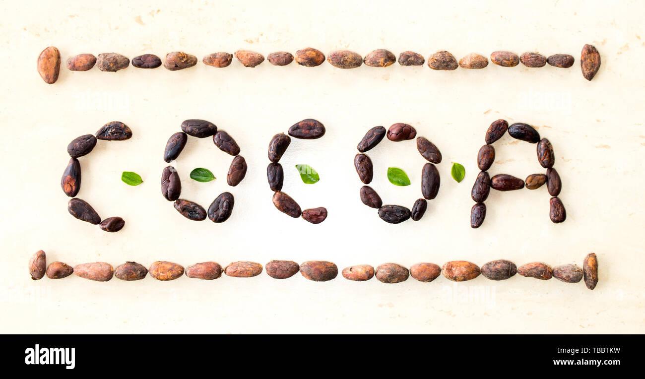 Word cocoa made with cocoa beans without skin on a light yellow ...