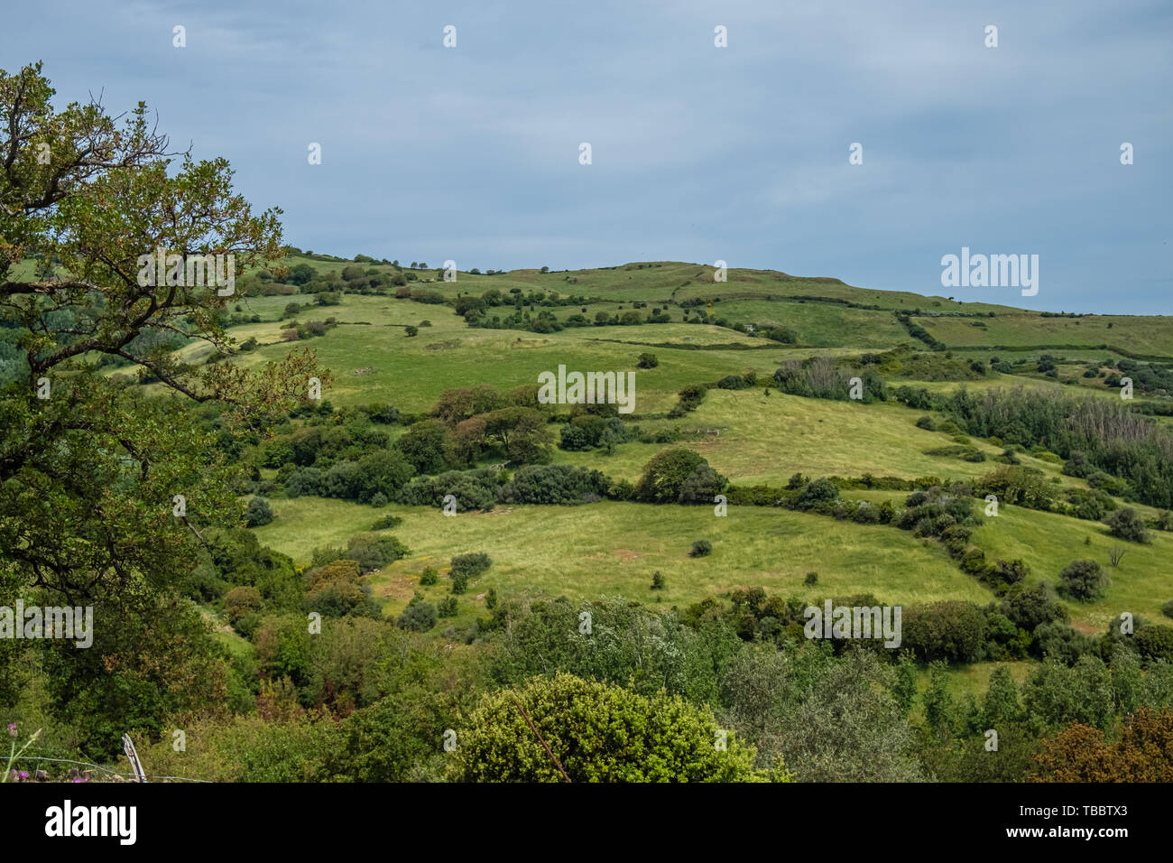 Osilo hi-res stock photography and images - Alamy