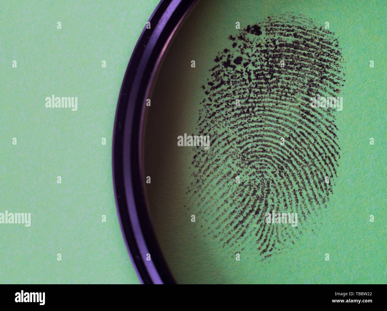 Fingerprint under a magnifying glass on a light green background ...