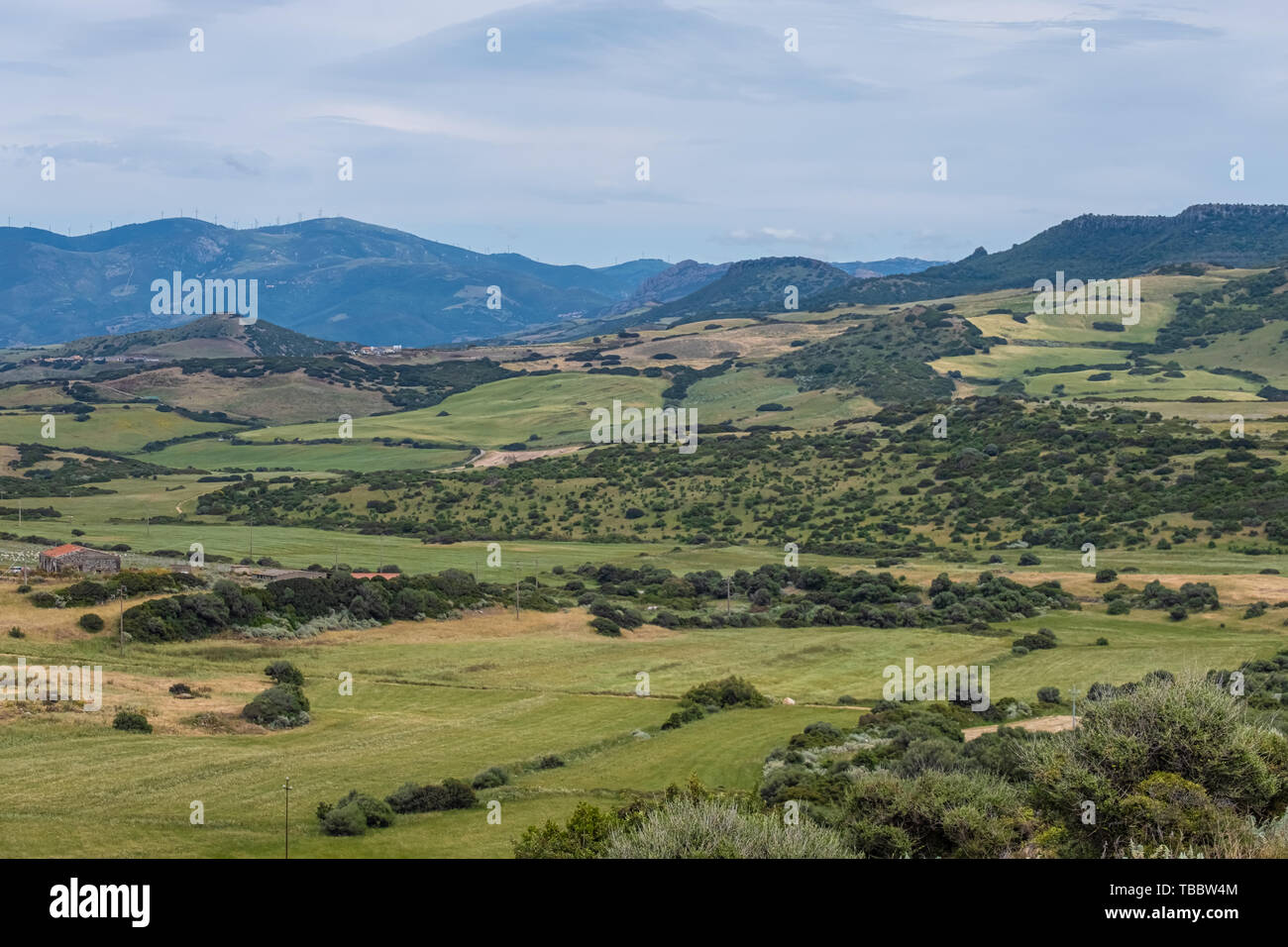 Osilo hi-res stock photography and images - Alamy