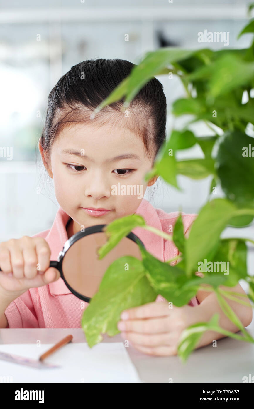 Primary school students take biology class Stock Photo - Alamy