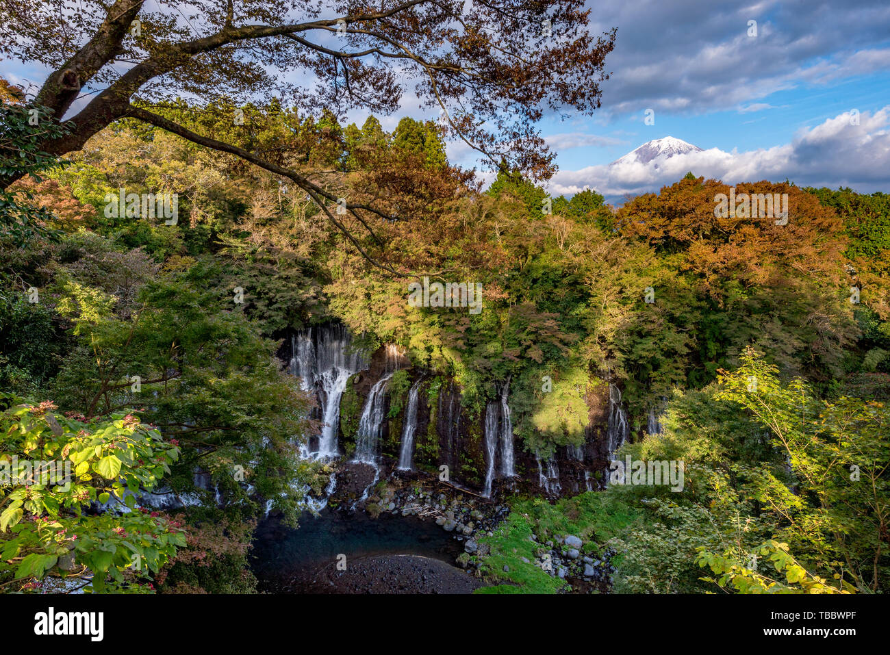 Shiraito Falls near Mount Fuji in Autumn Stock Photo - Alamy