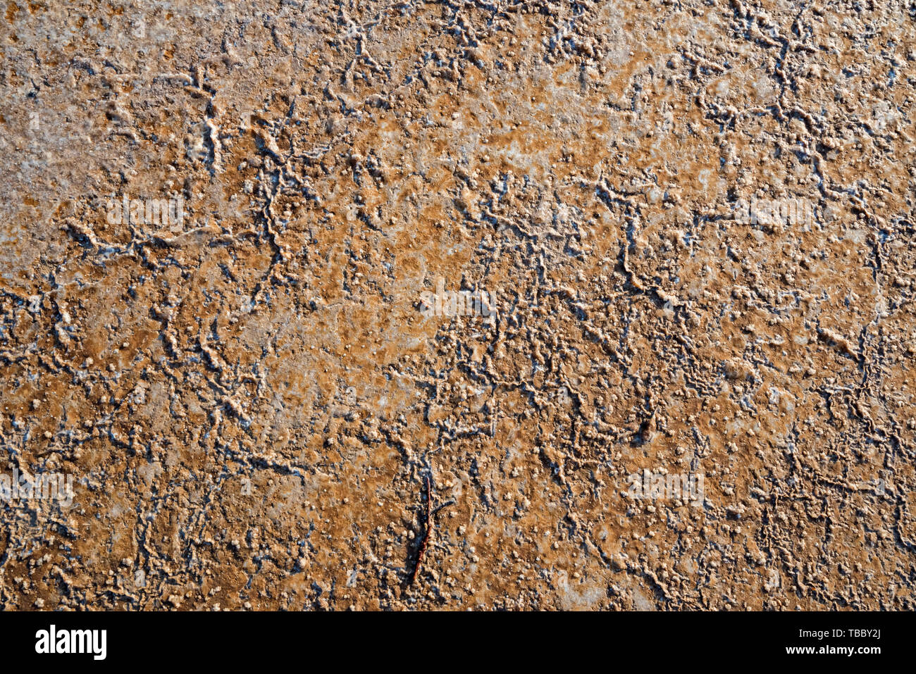 Close up texture background of saline soil Stock Photo - Alamy