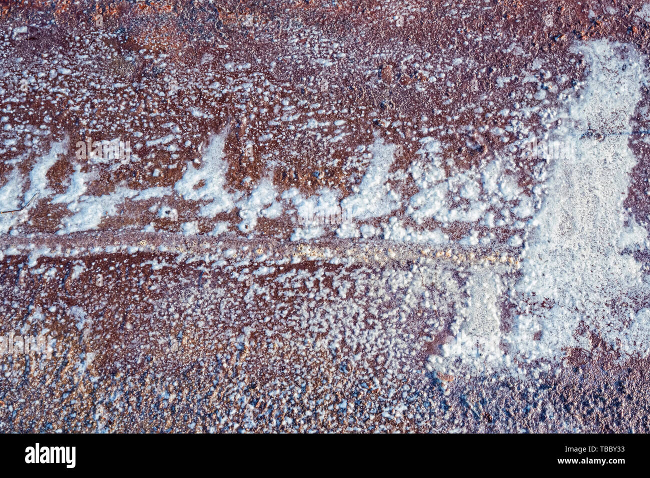 Close up texture background of saline soil with salt crystals Stock ...